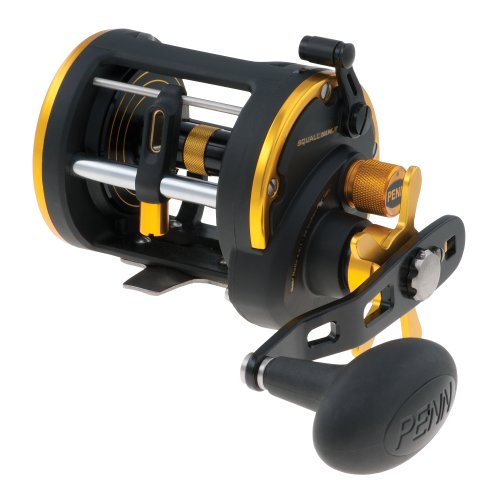 ᐅ Multirolle Baitcaster - Hier finden Sie das perfekte Modell